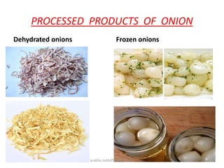 Import and export of onions | PPTX | Agriculture | Industries