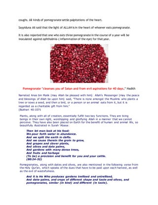 Importane of pomengranate in holy quran and hadith By Mr Allah Dad Khan ...