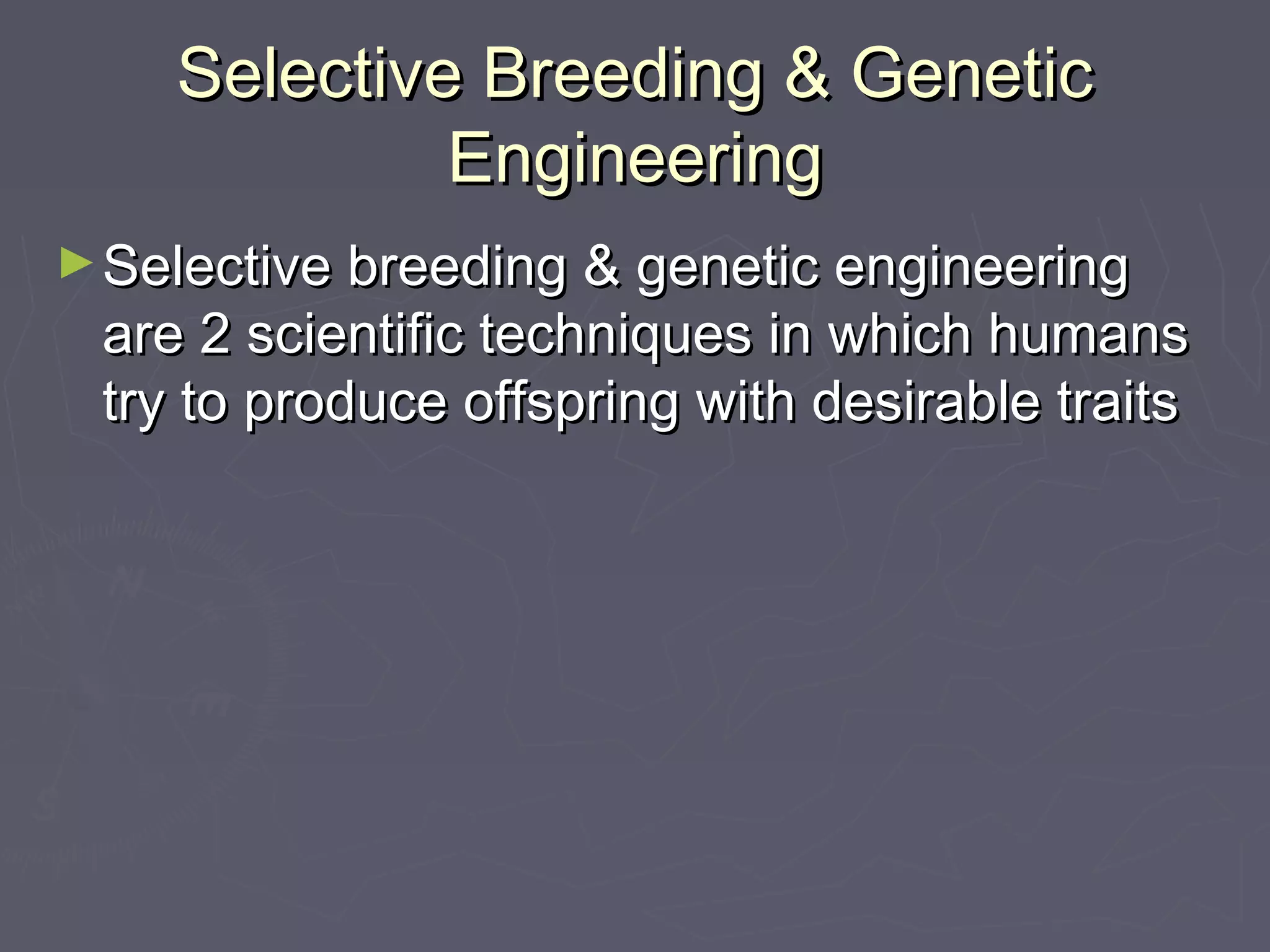 selective breeding and genetic engineering | PPT