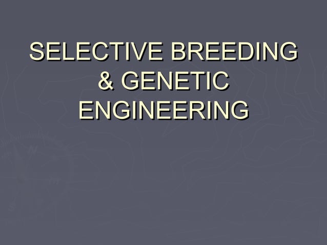 selective breeding and genetic engineering | PPT