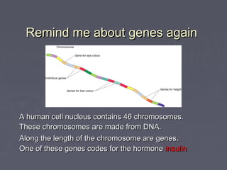 selective breeding and genetic engineering | PPT