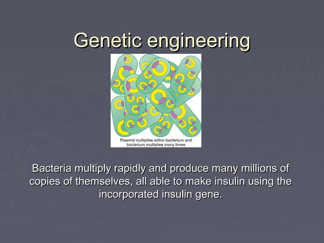 selective breeding and genetic engineering | PPT