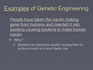 selective breeding and genetic engineering | PPT