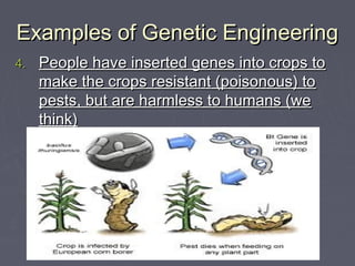 selective breeding and genetic engineering | PPT
