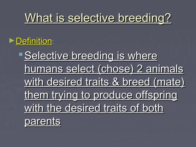 selective breeding and genetic engineering | PPT