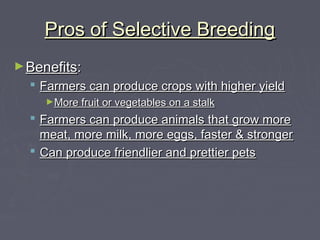 selective breeding and genetic engineering | PPT