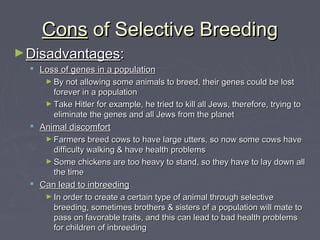 selective breeding and genetic engineering | PPT