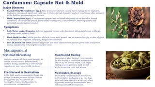Important-Postharvest-Diseases-of-Spice-Crops-and-Their-Management.pptx