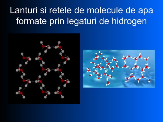 Importanta Apei In Lumea Vie | PPT