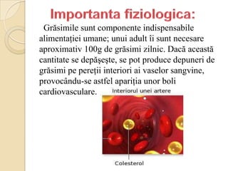 Importanta grasimilor | PPTX