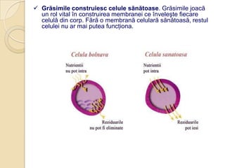 Importanta grasimilor | PPTX