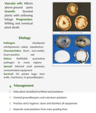 Bacterial and viral diseases of potatoes | PPTX