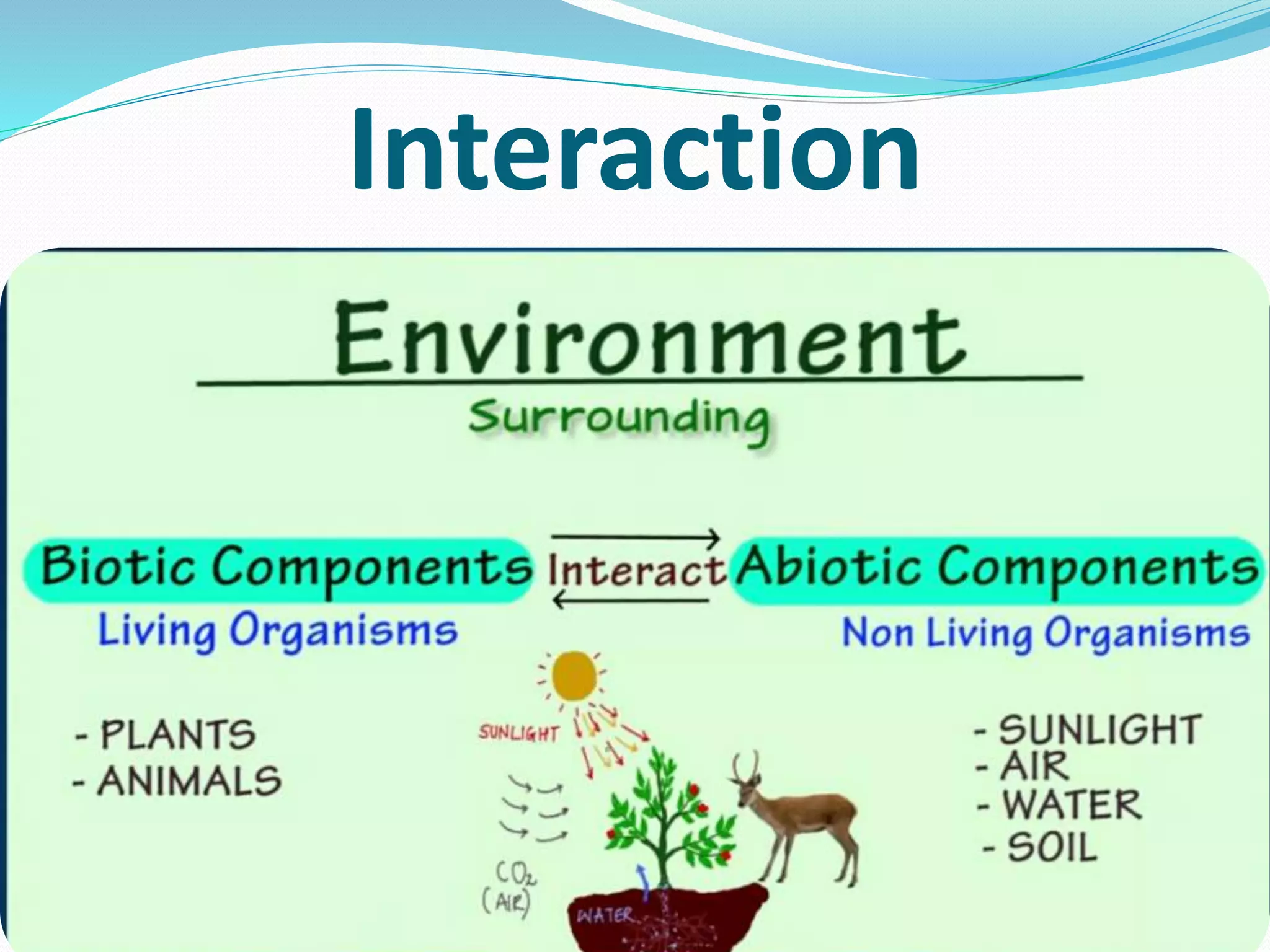 Important component of enviroment | PPT | Free Download