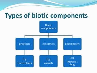 Important component of enviroment | PPT | Free Download