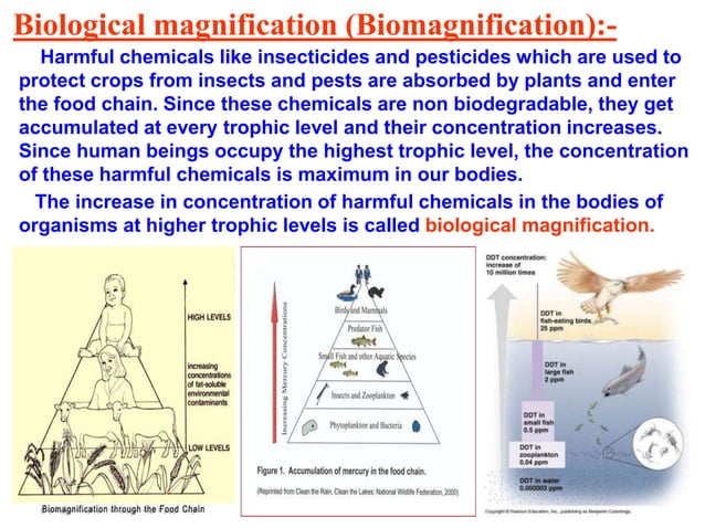 Important diagrams in biology.ppt