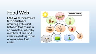 Important ecosystem terminology | PPTX