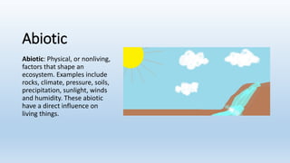 Important ecosystem terminology | PPT