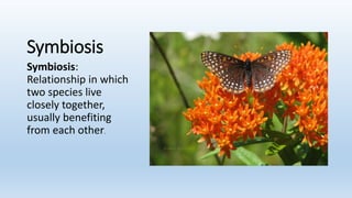 Important ecosystem terminology | PPTX