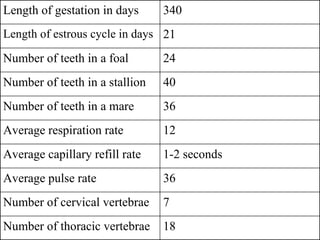 Important Equine Numbers | PPT