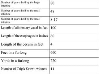 Important Equine Numbers | PPT