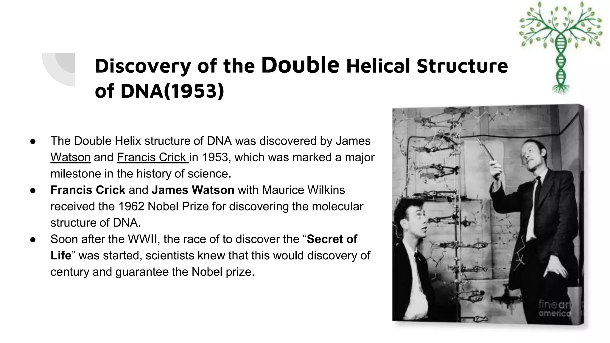 Important events in the field of biochemistry | PPTX
