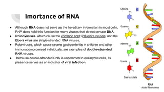 Biochemistry Examples