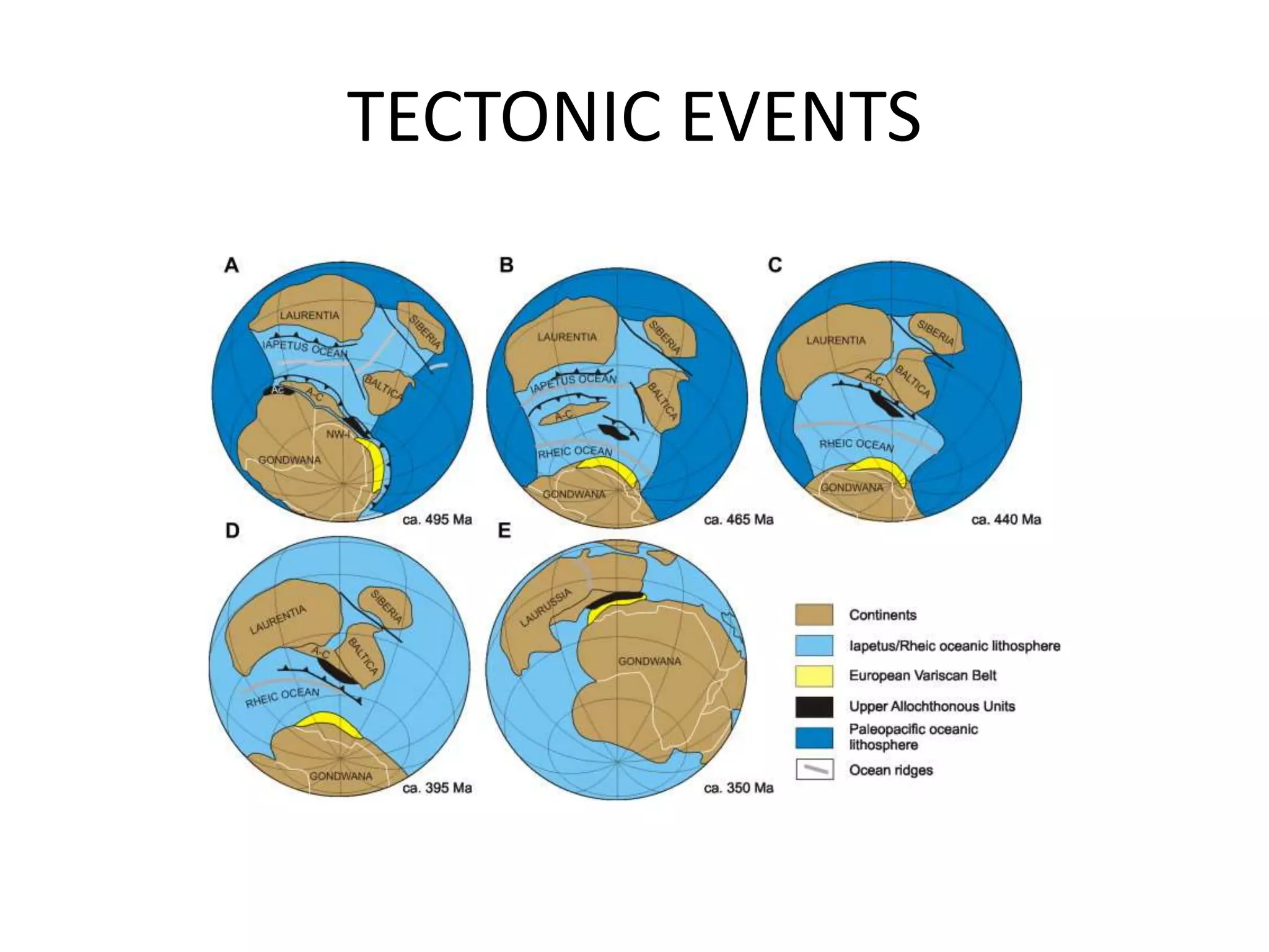 Important events of paleozoic time | PPT