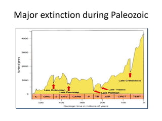 Important events of paleozoic time | PPT