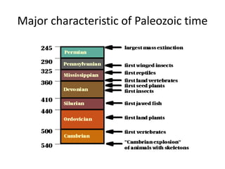 Important events of paleozoic time | PPT