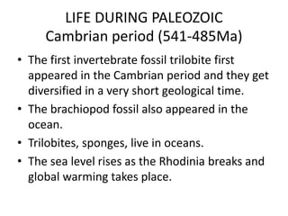 Important events of paleozoic time | PPTX