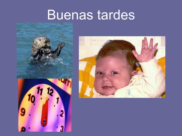 Important Expressions | PPT