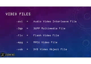 Important file extensions | PDF