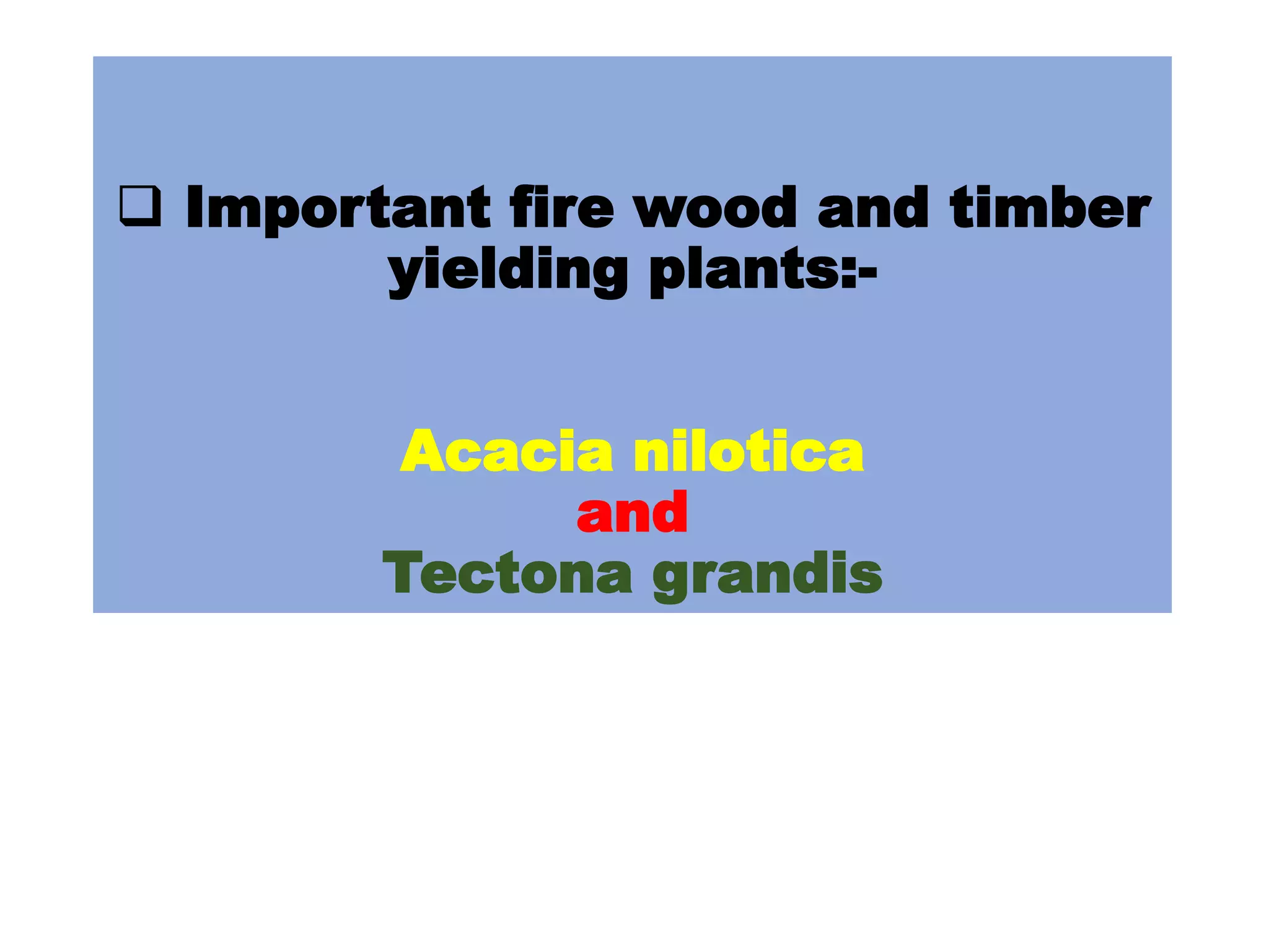 Important fire wood and timber yielding plants acacia nilotica and ...