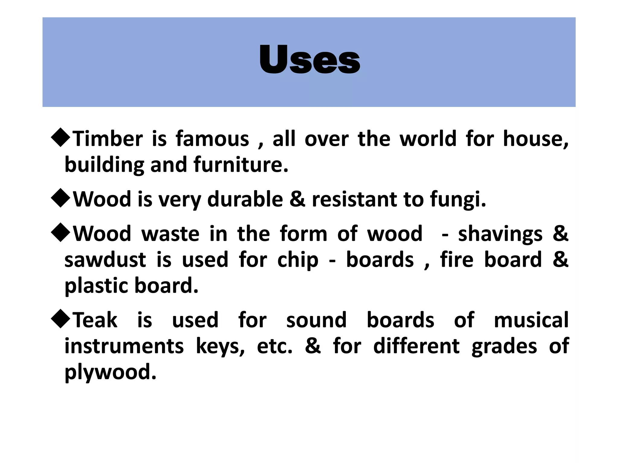 Important fire wood and timber yielding plants acacia nilotica and ...