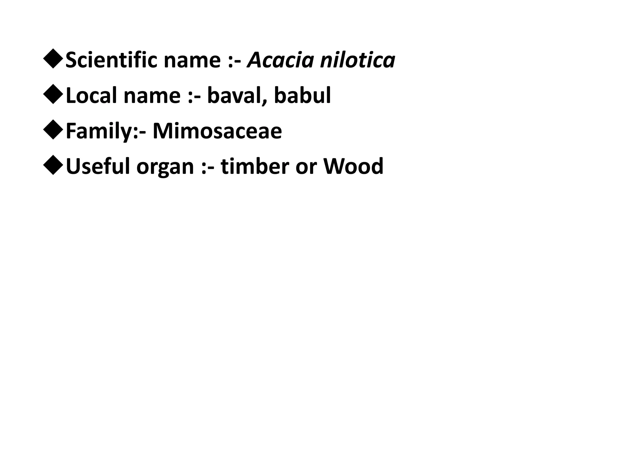 Important fire wood and timber yielding plants acacia nilotica and ...