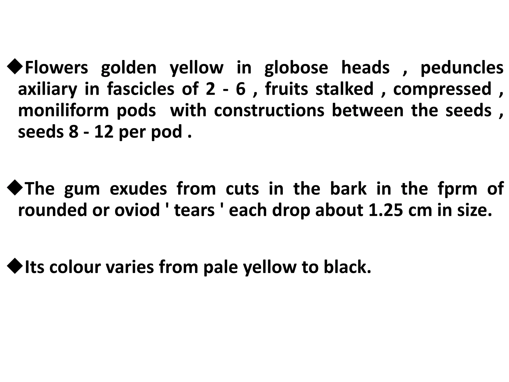 Important fire wood and timber yielding plants acacia nilotica and ...