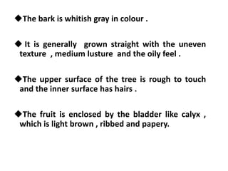 Important fire wood and timber yielding plants acacia nilotica and ...