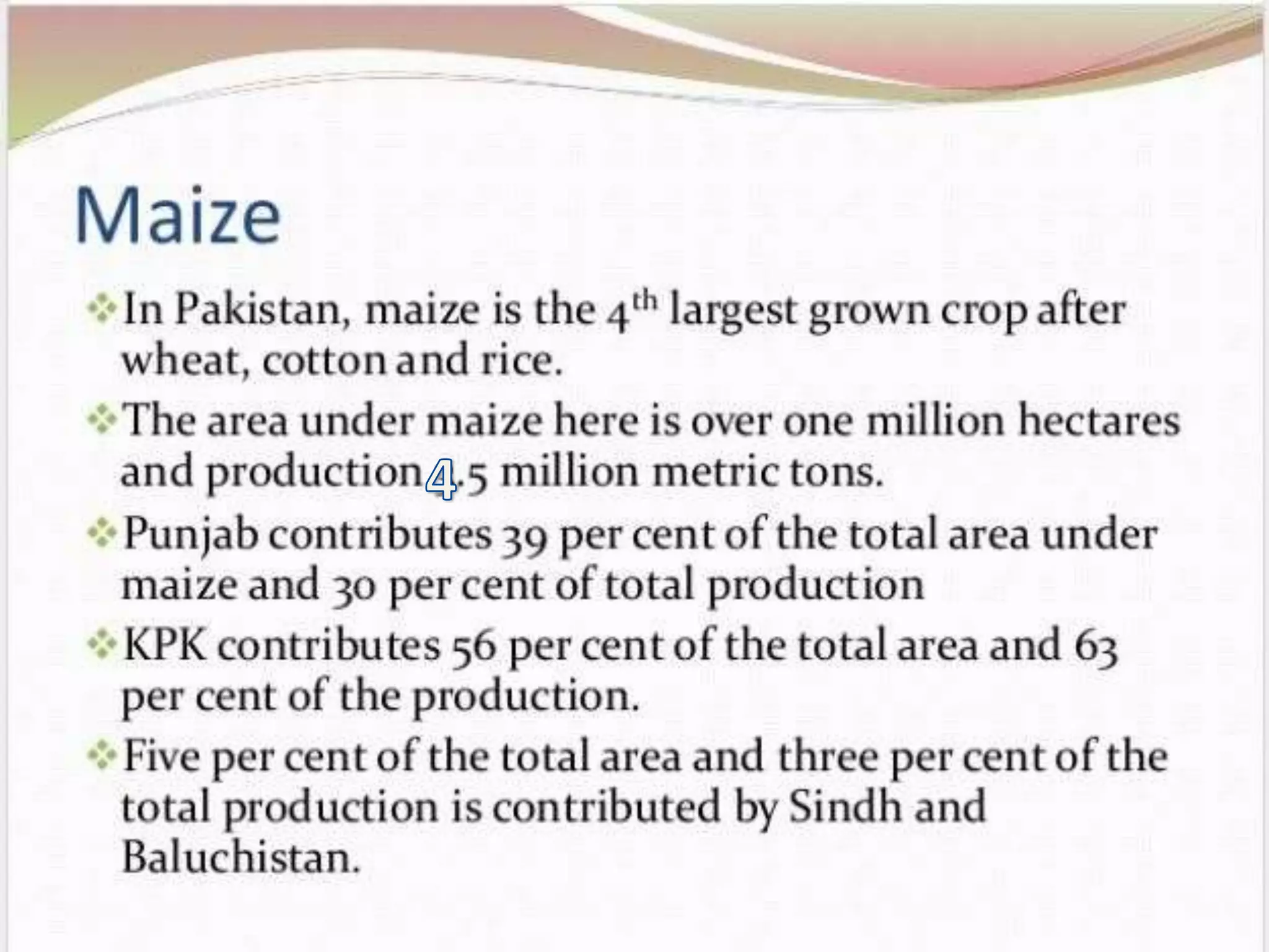 Important food crops of pakistan | PPTX