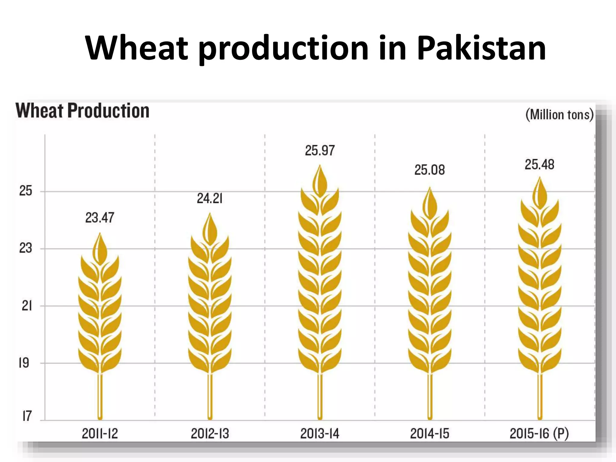 Important food crops of pakistan | PPTX