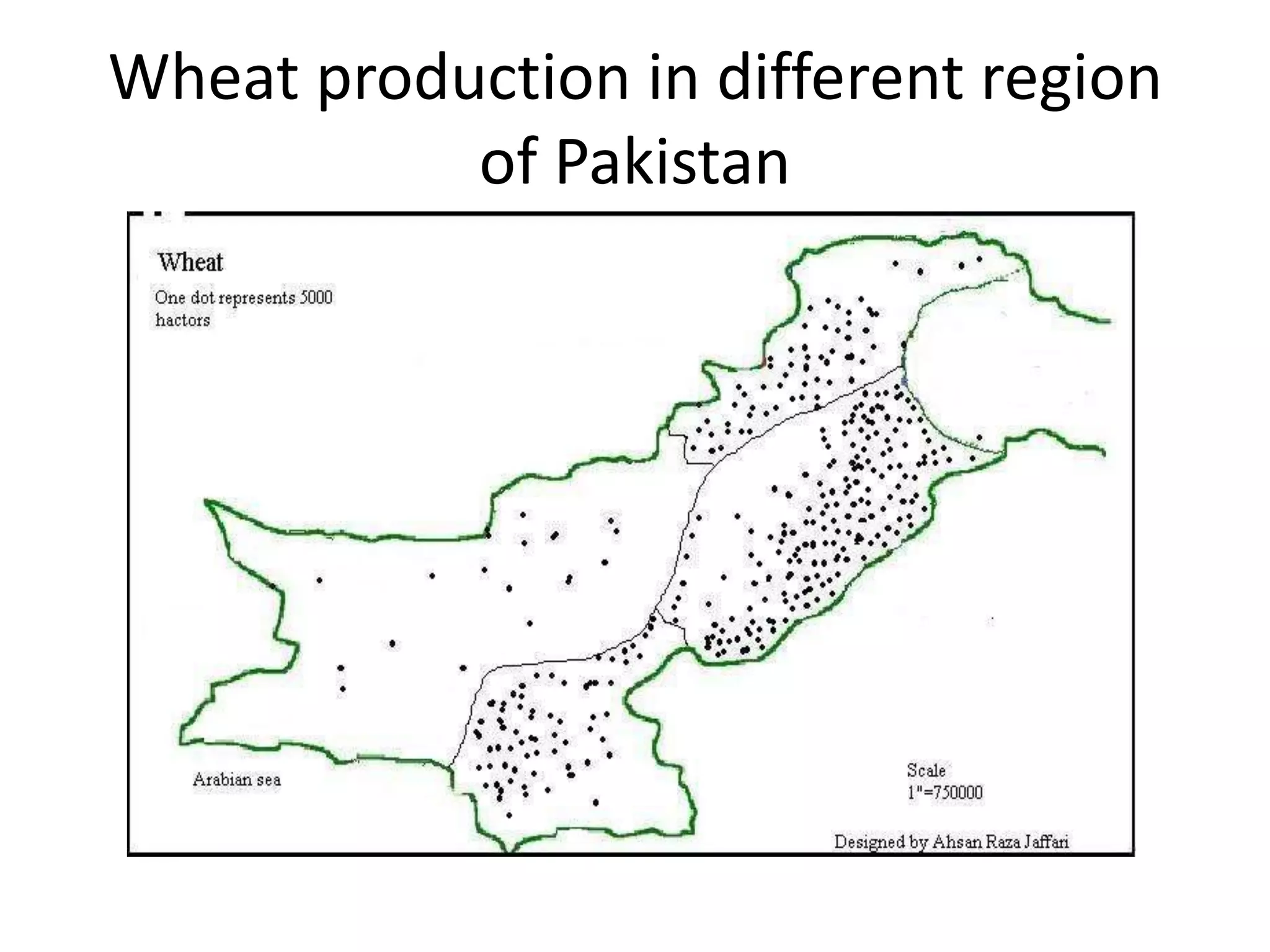 Important food crops of pakistan | PPTX