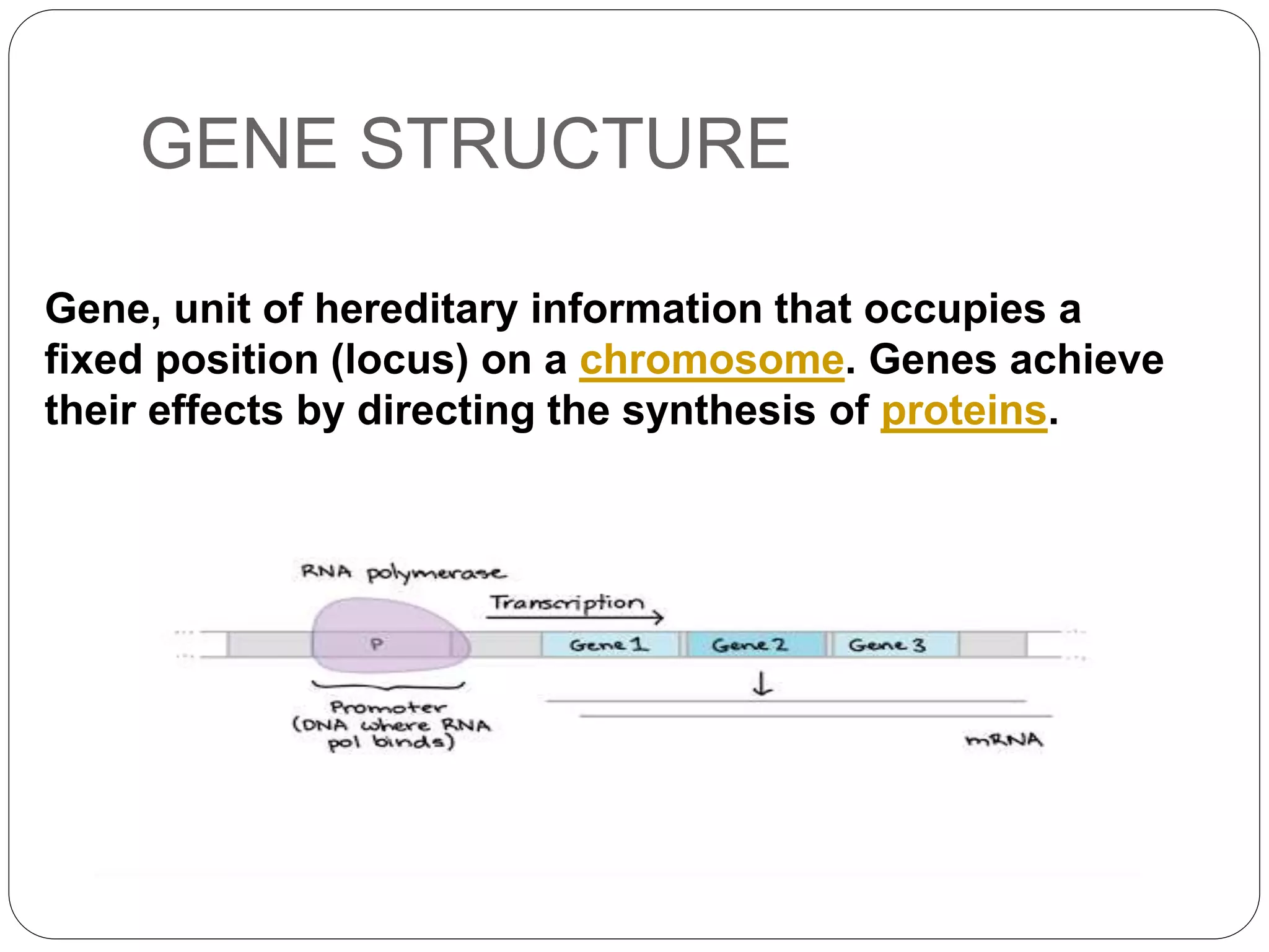 Important genetics terminology | PPTX