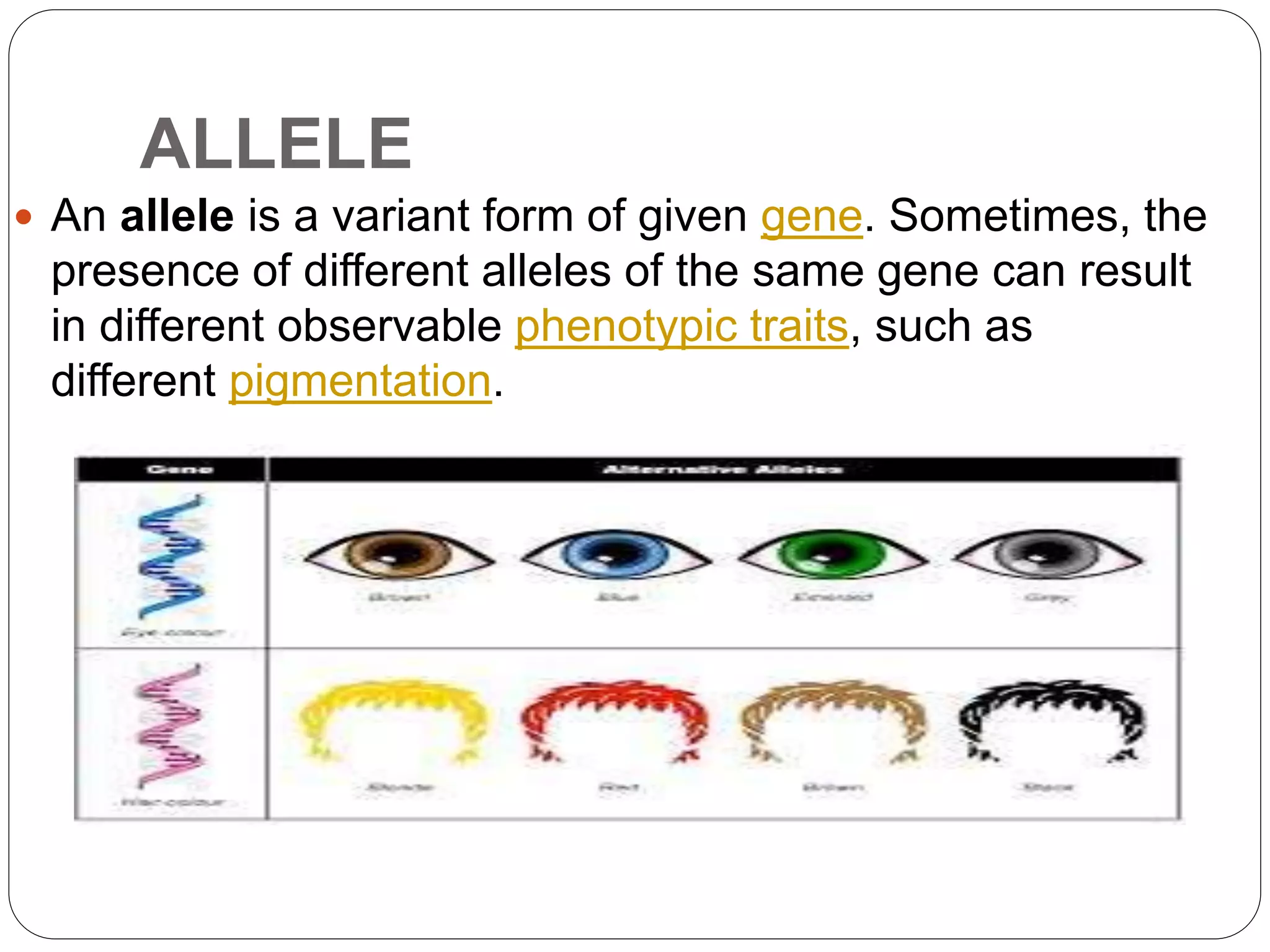 Important genetics terminology | PPTX