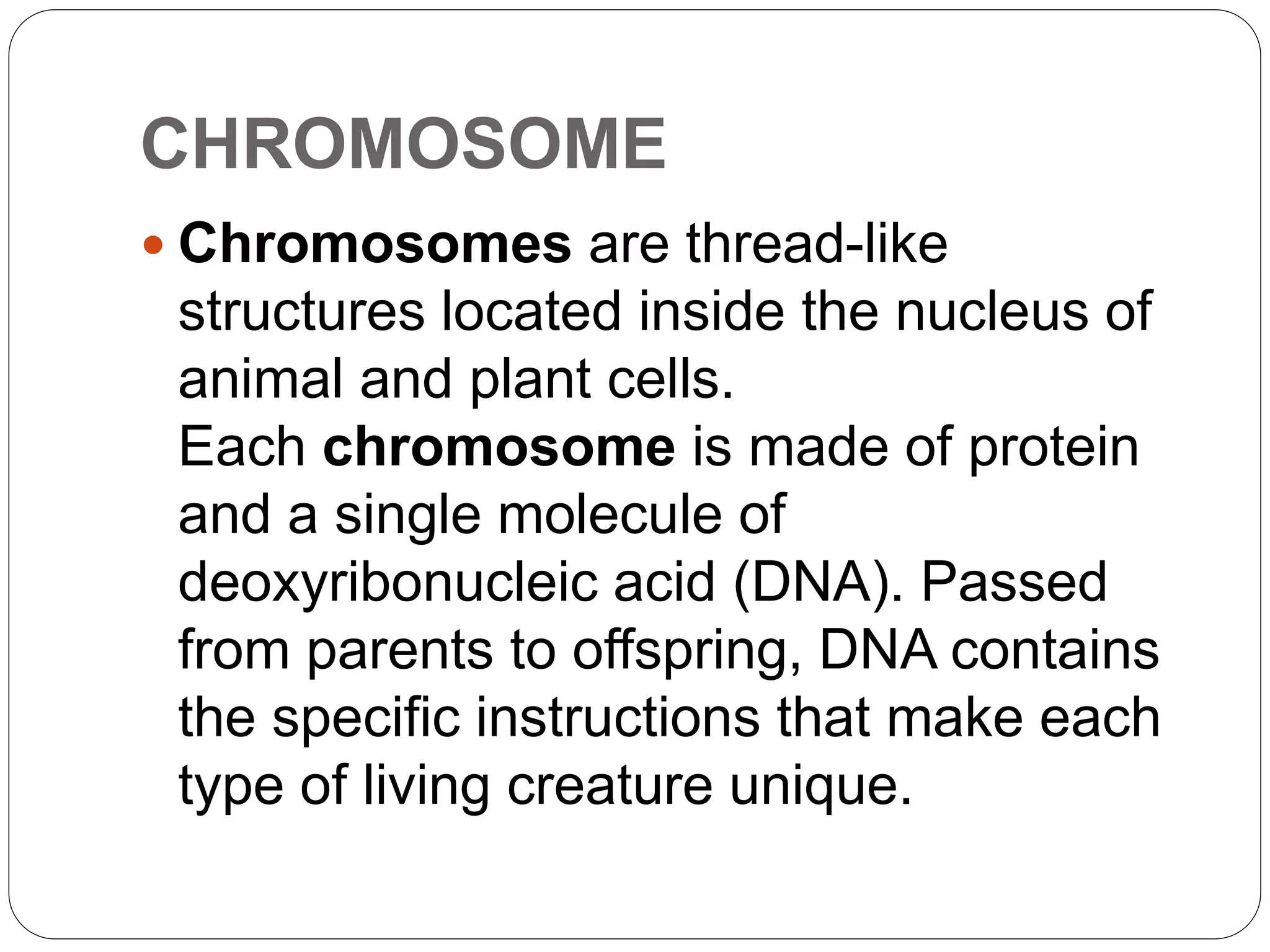 Important genetics terminology | PPTX