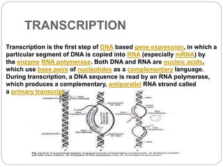 Important genetics terminology | PPTX