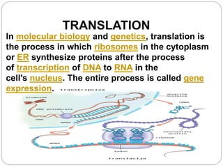 Important genetics terminology | PPTX
