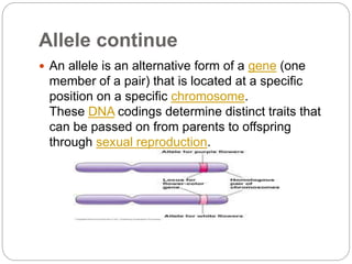Important genetics terminology | PPTX
