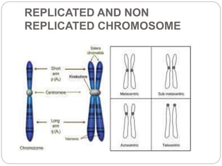 Important genetics terminology | PPTX