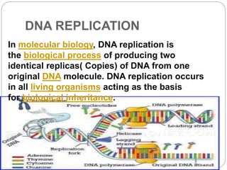 Important genetics terminology | PPTX