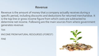 Important issues in public finance and revenue mobilization | PPTX