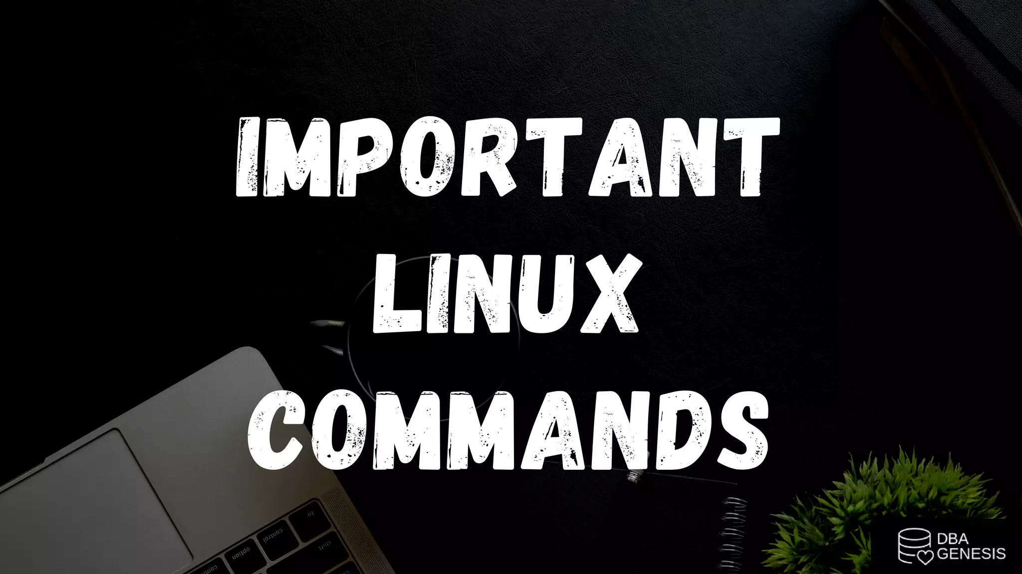 Important Linux Commands | PDF